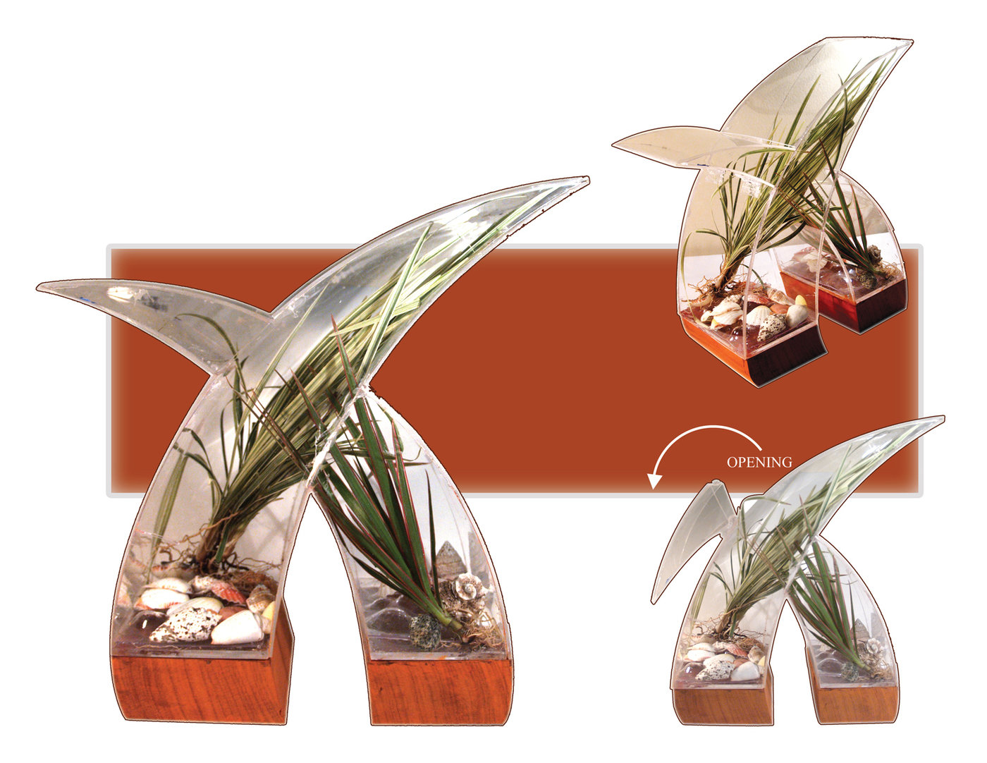 Terrarium Design by Jonathan Globerson at Coroflot.com
