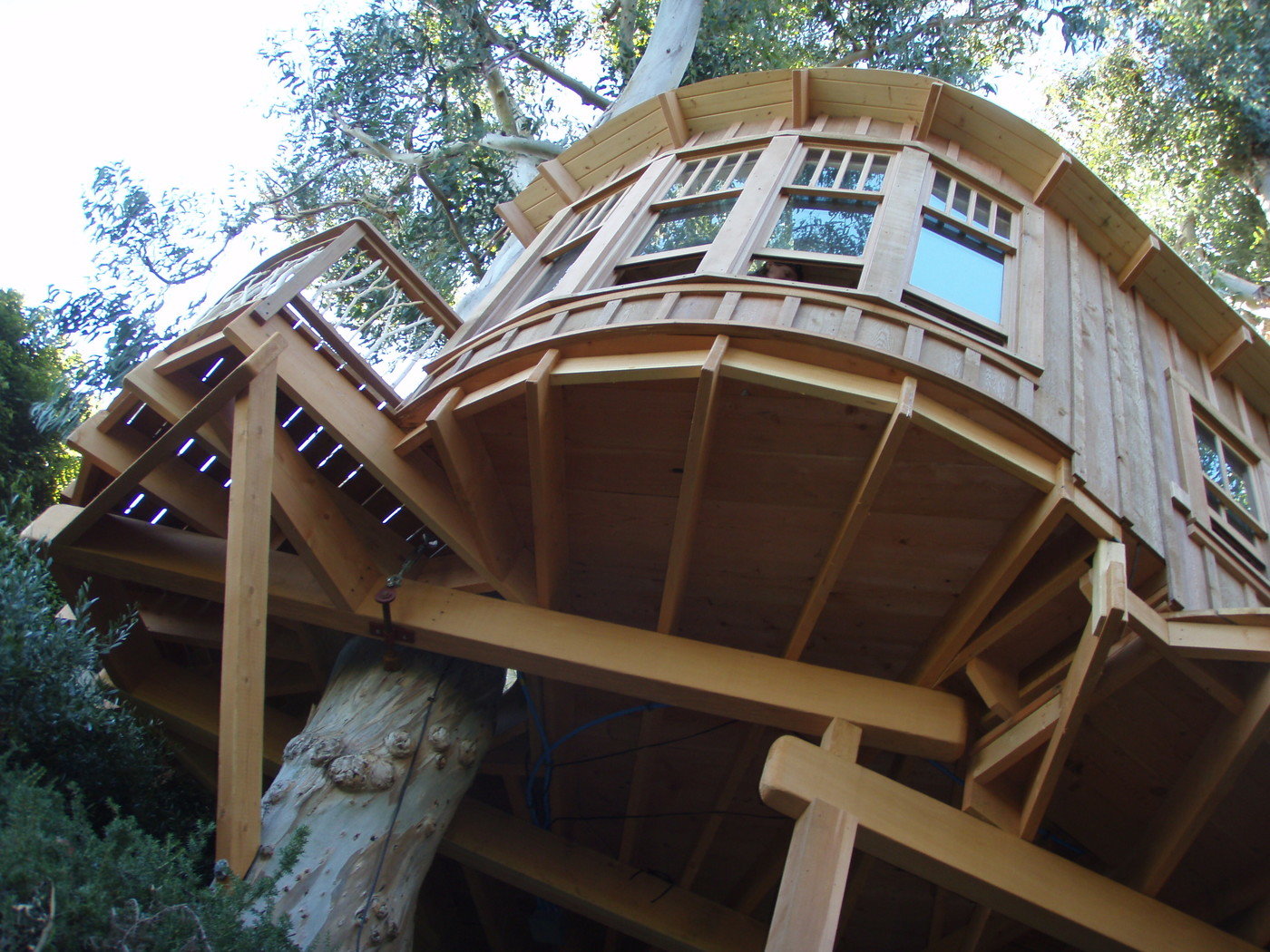 TREEHOUSES by Jeff Casper at Coroflot.com