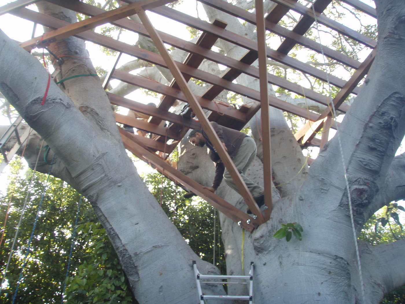 TREEHOUSES by Jeff Casper at Coroflot.com