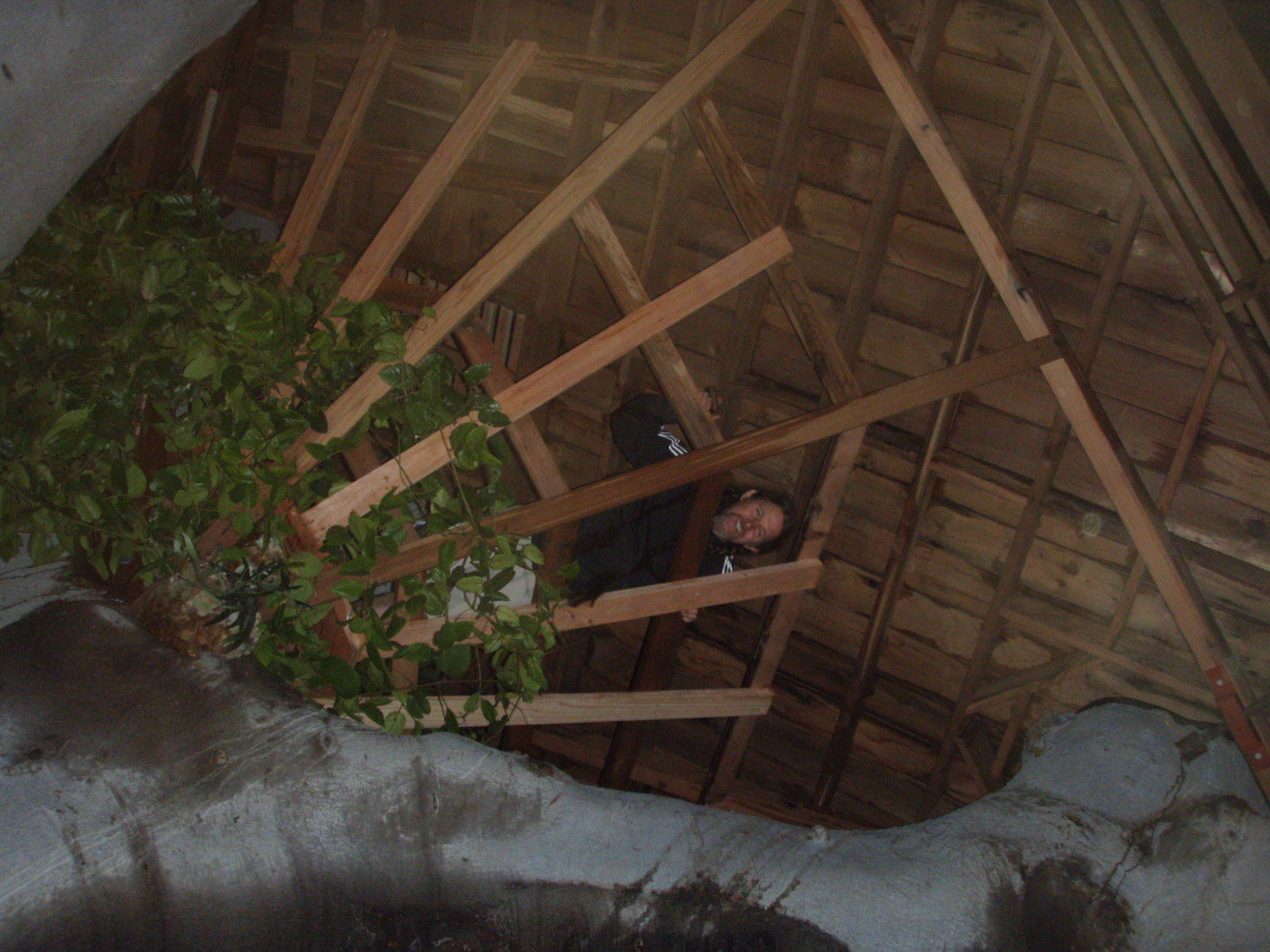 TREEHOUSES by Jeff Casper at Coroflot.com