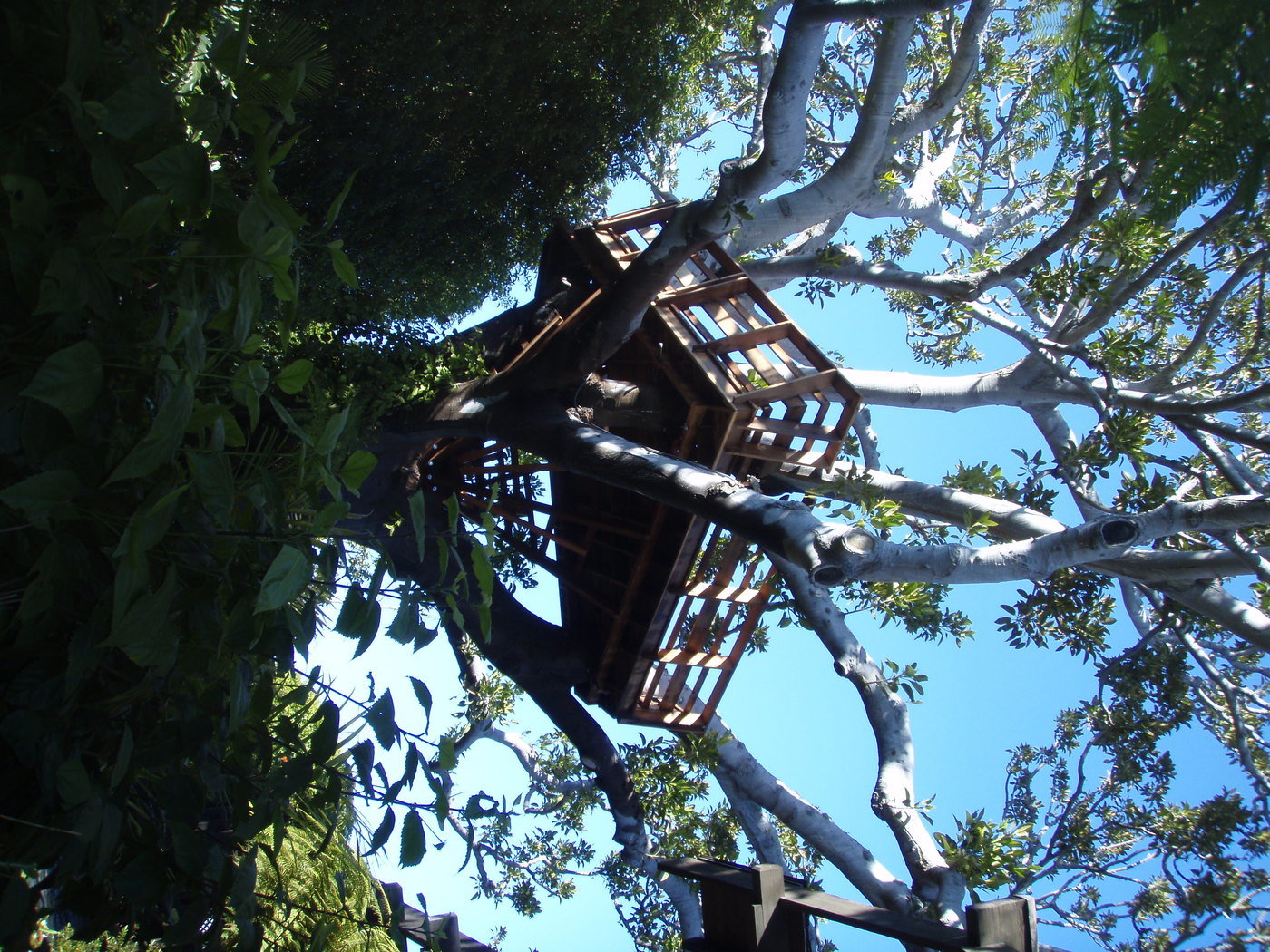 TREEHOUSES by Jeff Casper at Coroflot.com