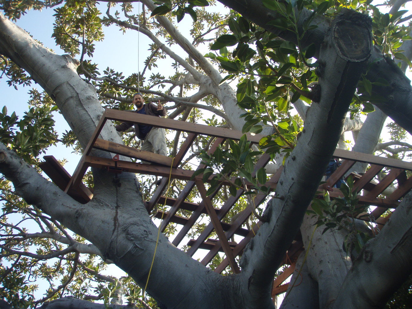 TREEHOUSES by Jeff Casper at Coroflot.com