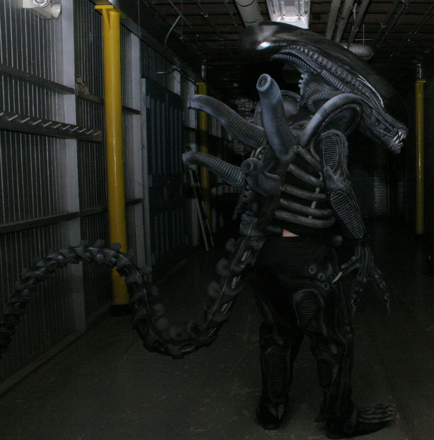 Xenomorph Costume 2012 by Ian Austin at Coroflot.com