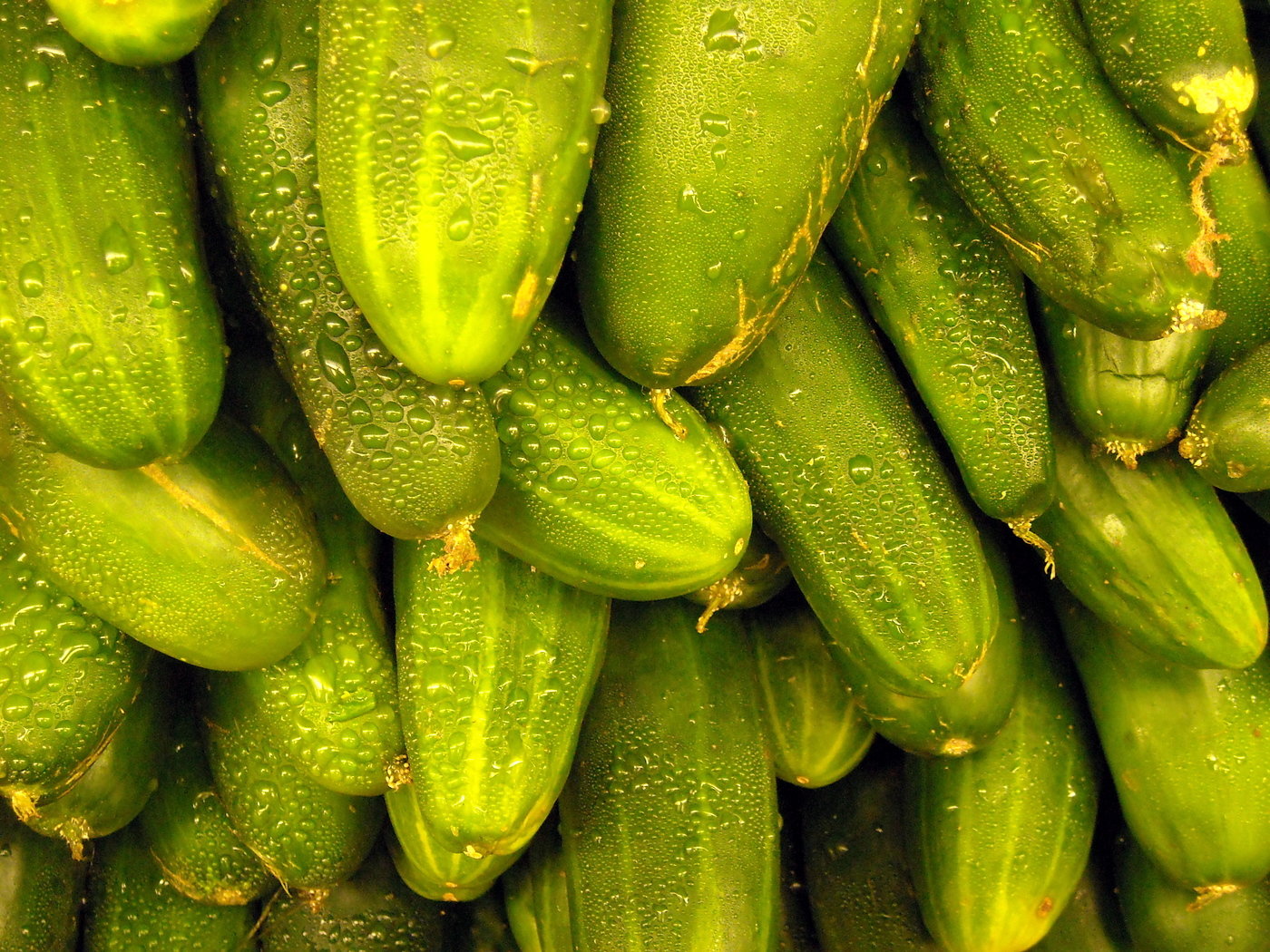 Photography by Ian Austin at Coroflot.com