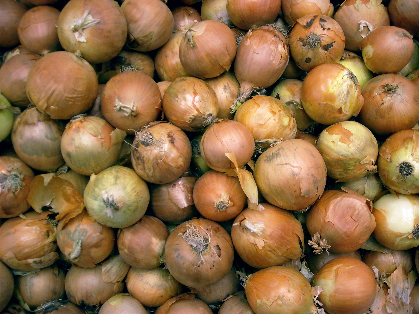 Photography by Ian Austin at Coroflot.com