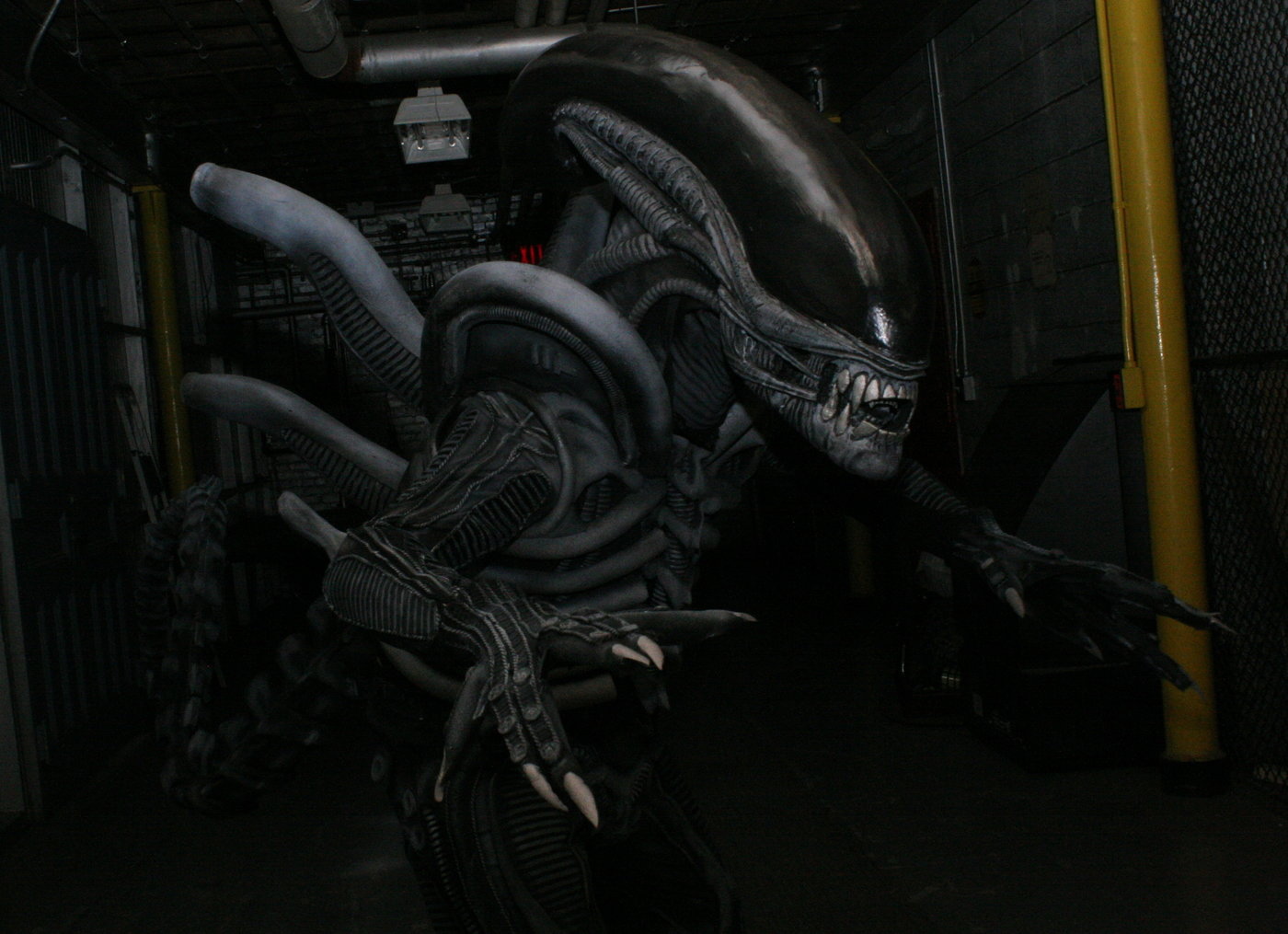Xenomorph Costume 2012 by Ian Austin at Coroflot.com