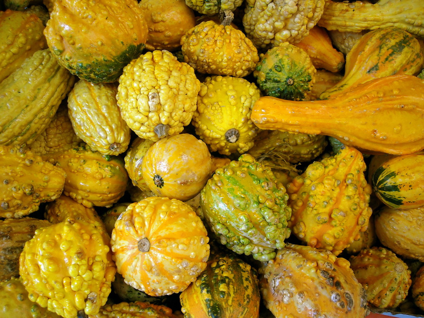 Photography by Ian Austin at Coroflot.com