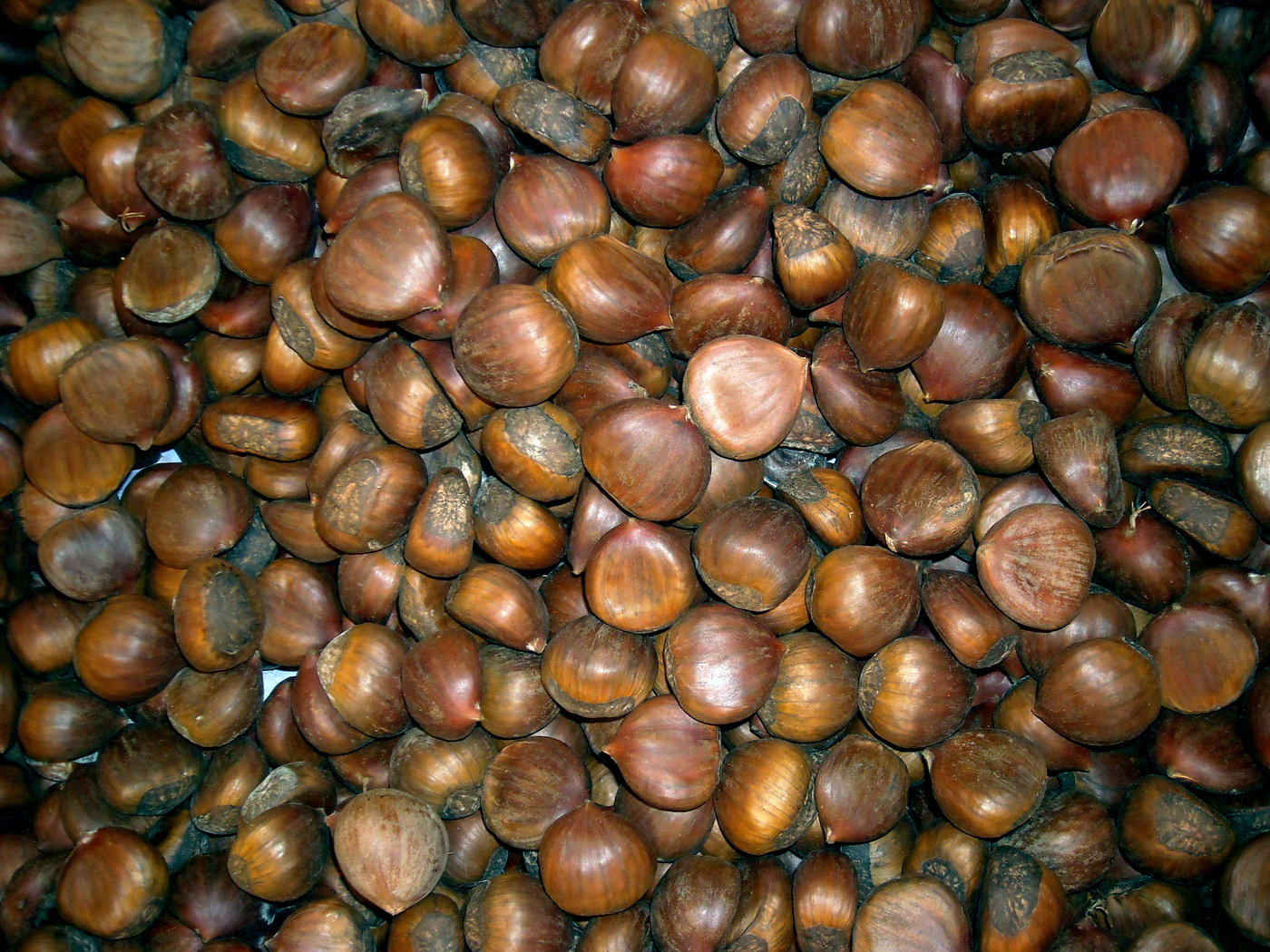 Photography by Ian Austin at Coroflot.com