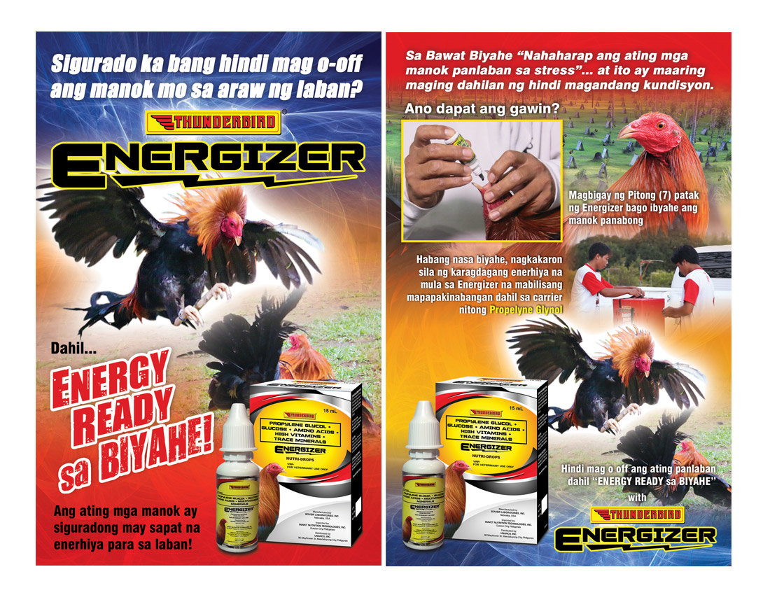 Energizer Product Flyer for Thunderbird by Roderick Valenzuela at Coroflot.com