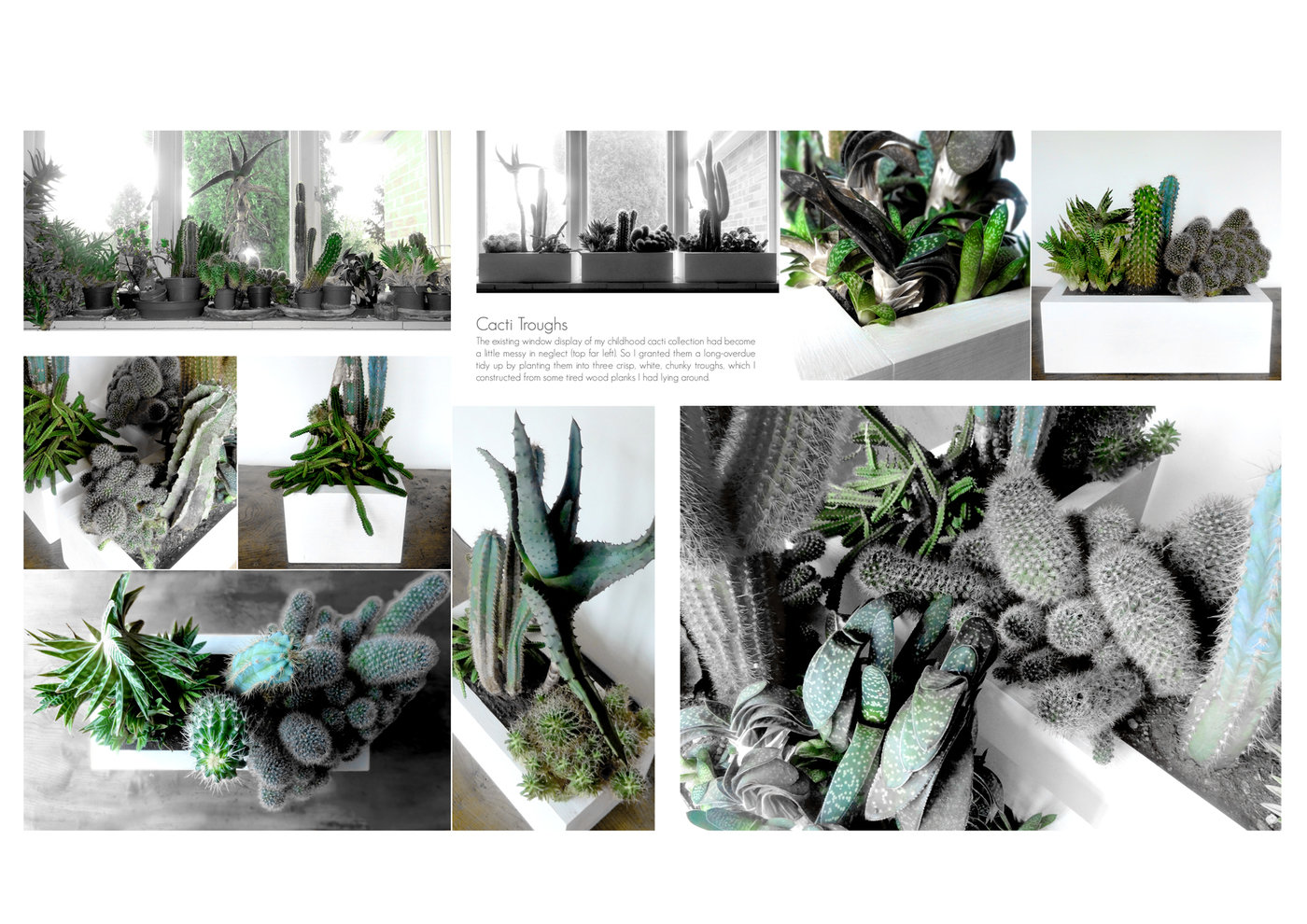 Cacti Troughs by Adam Sayles at Coroflot.com