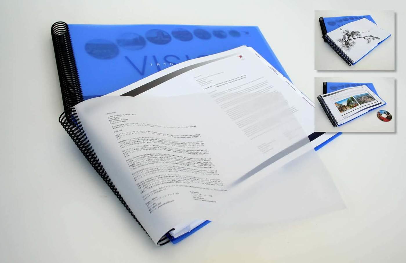 Catellus Development Proposals by Donna Newland at Coroflot.com