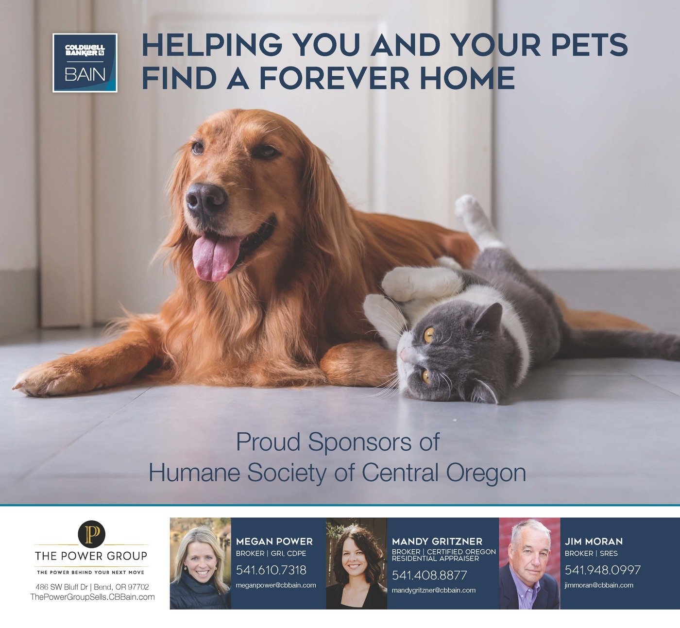 Humane Society Print Ad by Lynn Munson at Coroflot.com