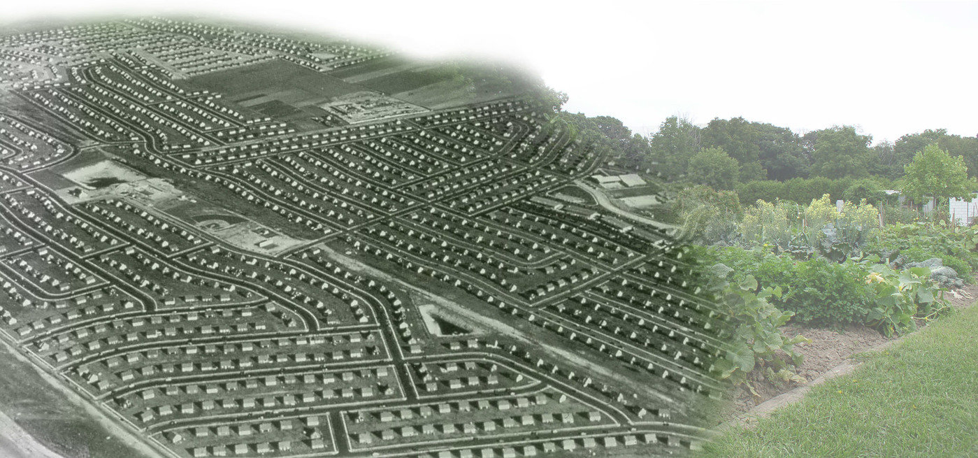 Photo Manipulation by Michelle Felan at Coroflot.com