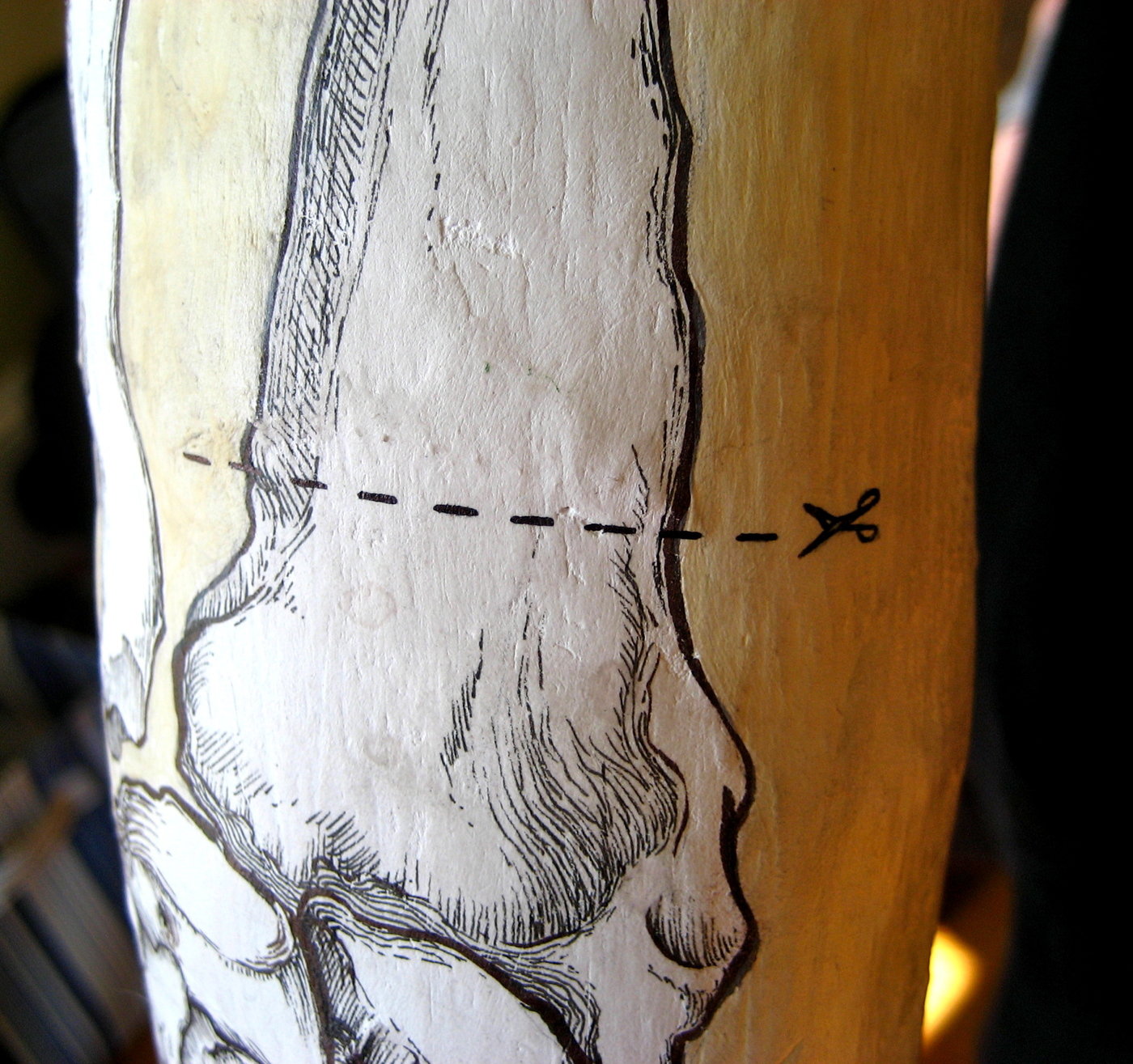 Bone Cast by Heather Tompkins at Coroflot.com