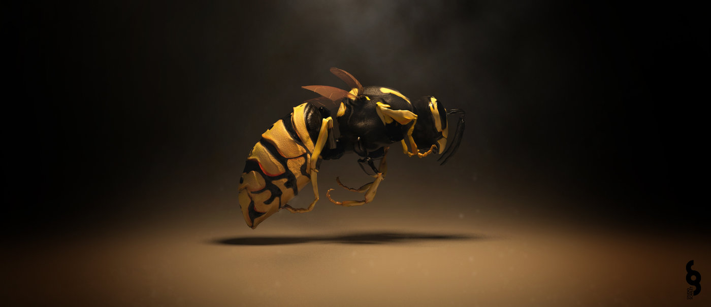 Wasp 3D model and animation by Kevin Boulton at Coroflot.com