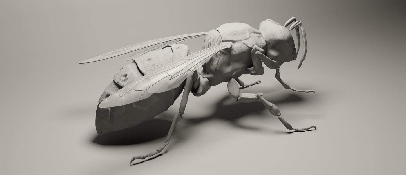 Wasp 3D model and animation by Kevin Boulton at Coroflot.com