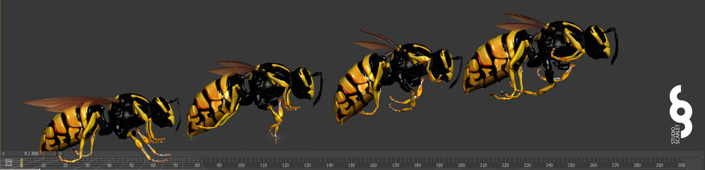 Wasp 3D model and animation by Kevin Boulton at Coroflot.com