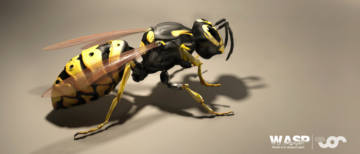 Wasp 3D model and animation by Kevin Boulton at Coroflot.com