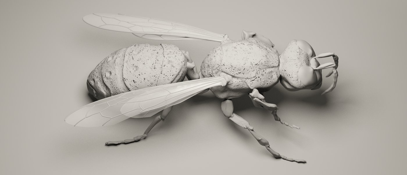 Wasp 3D model and animation by Kevin Boulton at Coroflot.com