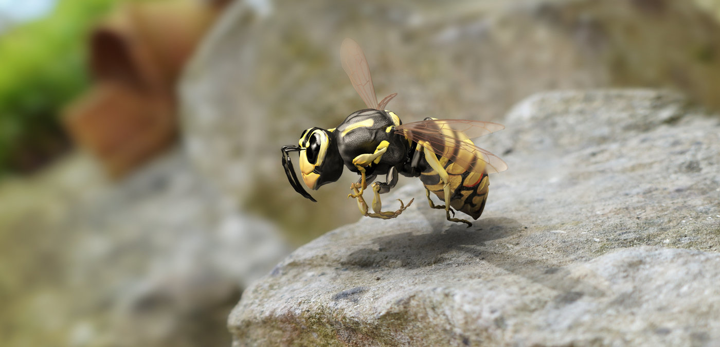 Wasp 3D model and animation by Kevin Boulton at Coroflot.com