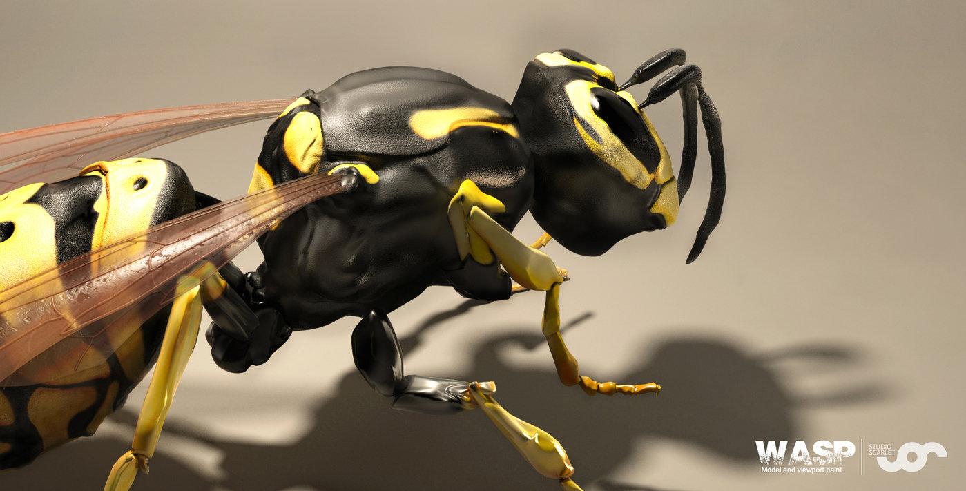 Wasp 3D model and animation by Kevin Boulton at Coroflot.com