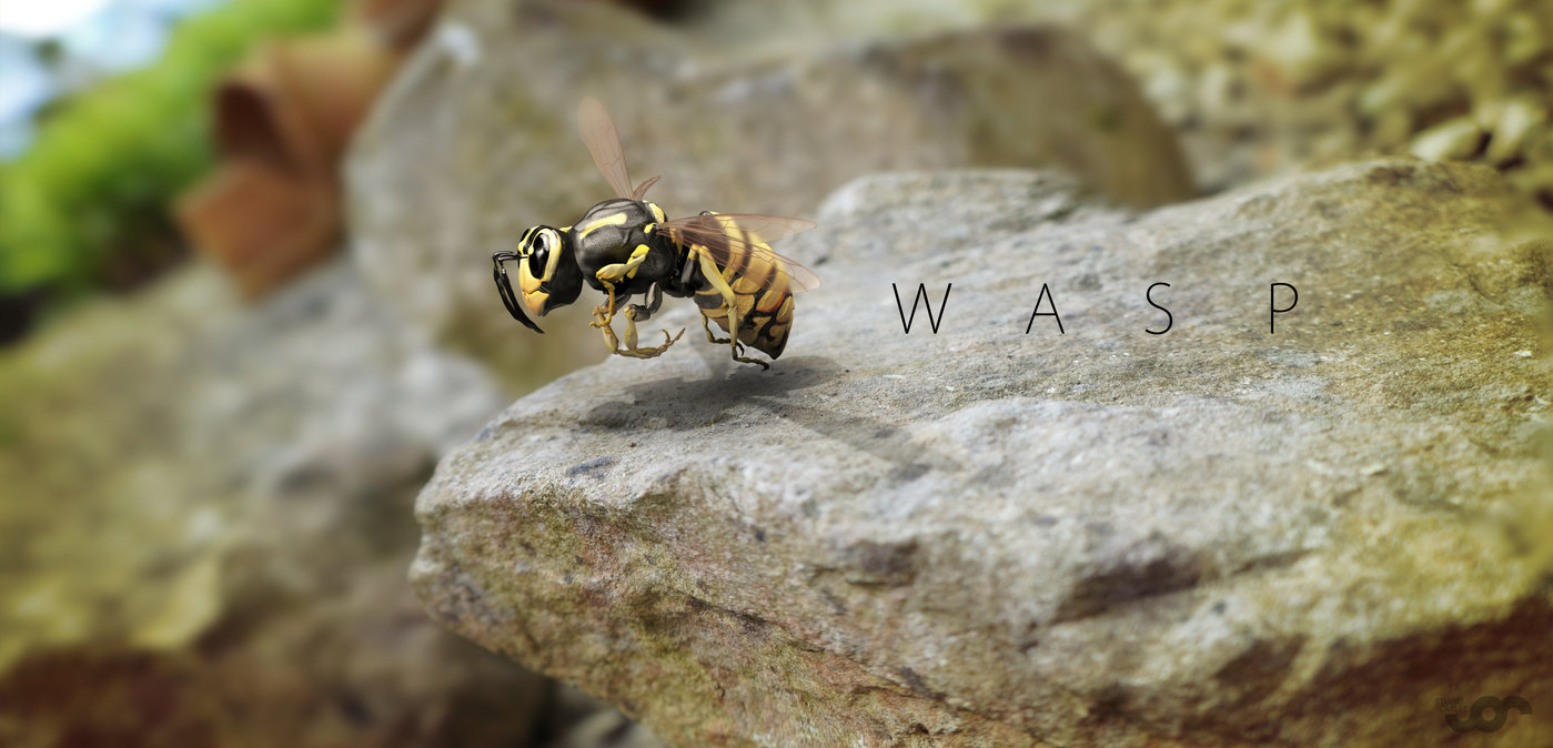 Wasp 3D model and animation by Kevin Boulton at Coroflot.com