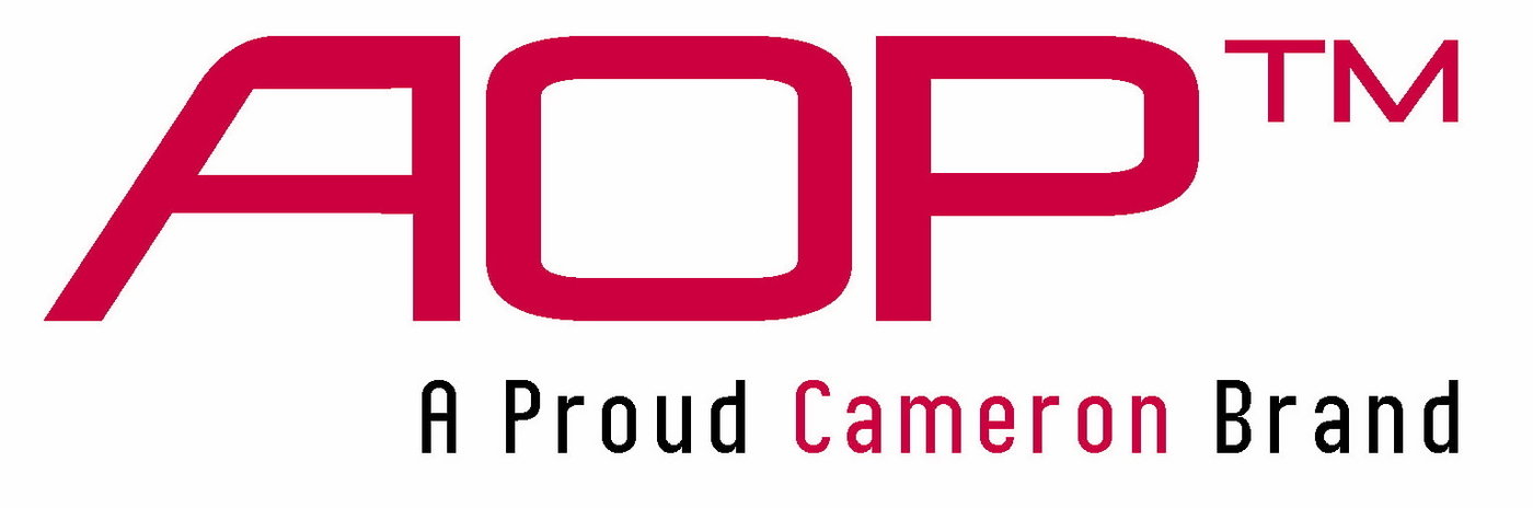 Cameron's AOP Rebranding 2010 by Maria Amparo Scott at Coroflot.com