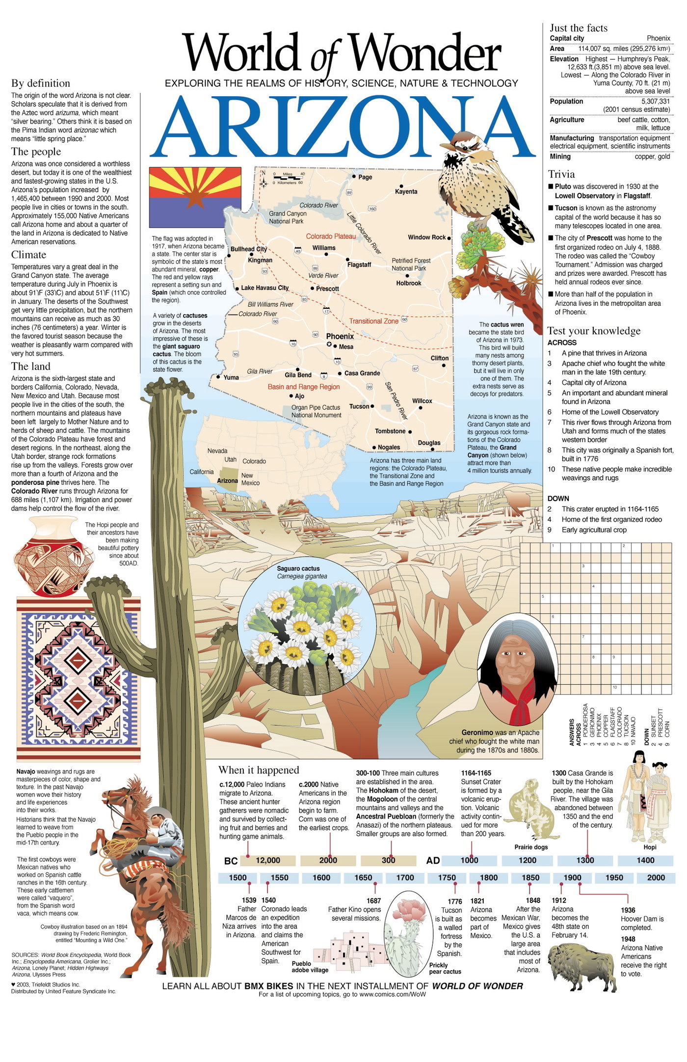 World of Wonder by Laurie Triefeldt at Coroflot.com