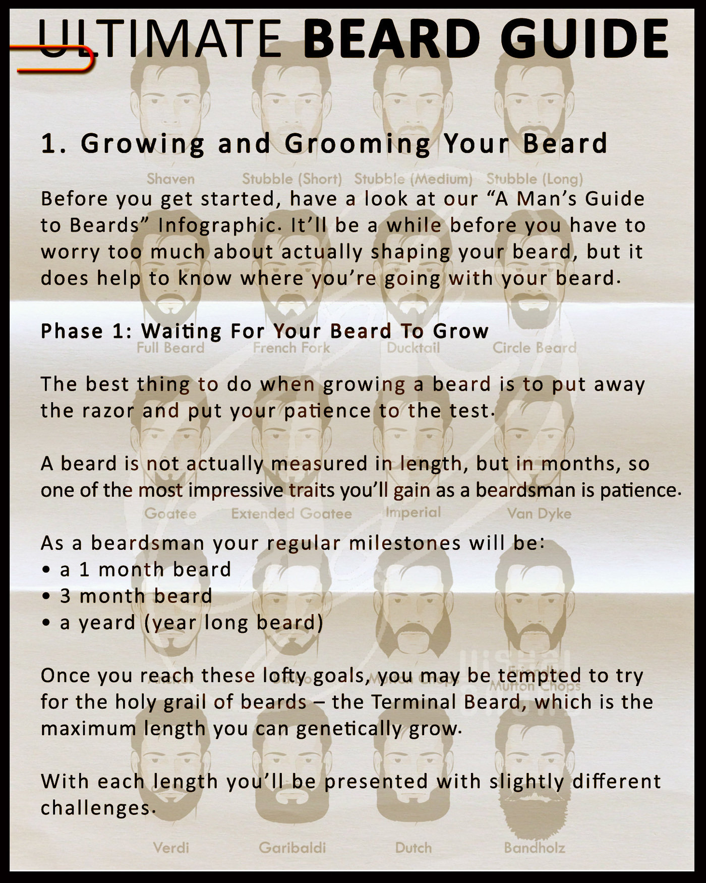 ULTIMATE BEARD GUIDE by Vishal Anand at Coroflot.com