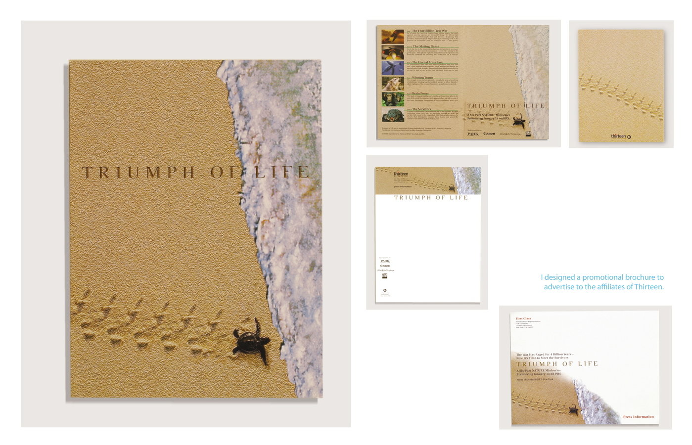 Portfolio 1 - Print Graphic Design by Malaga Design Studios - Tamra ...