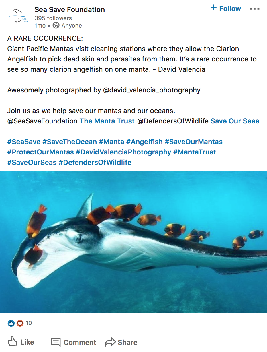 Social Media Management by Carol-Marie Sneed at Coroflot.com