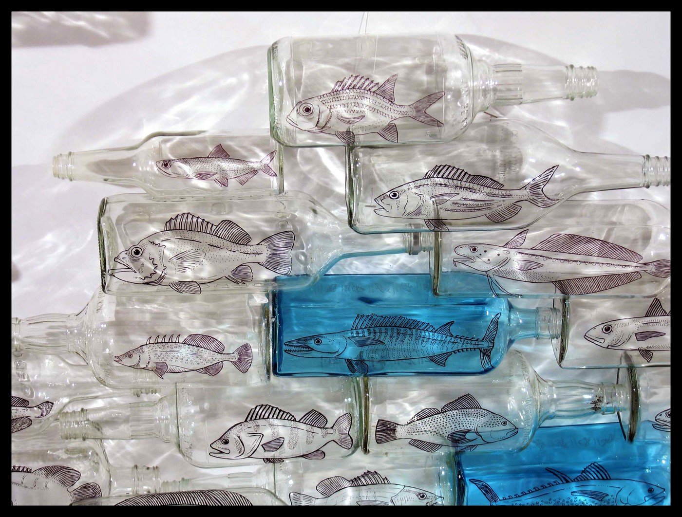 Fish Bottles by Melissa Stang at Coroflot.com