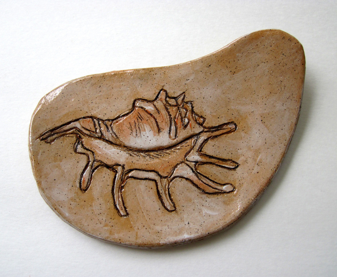 Shell and turtle plates by Melissa Stang at Coroflot.com