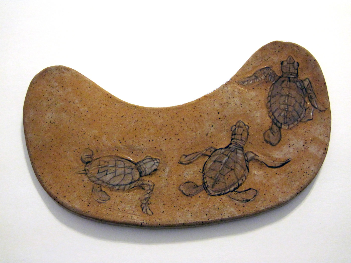 Shell and turtle plates by Melissa Stang at Coroflot.com