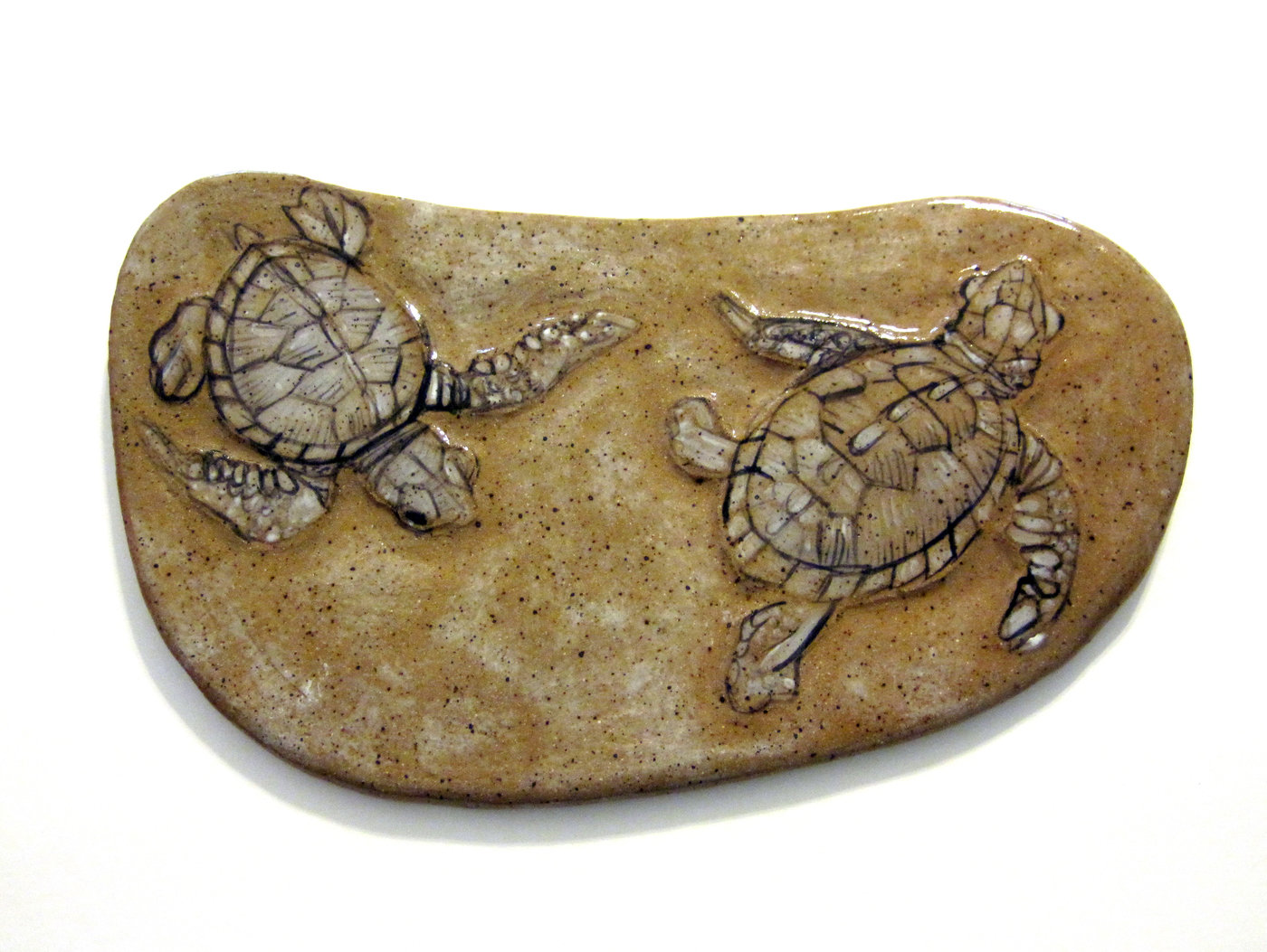 Shell and turtle plates by Melissa Stang at Coroflot.com