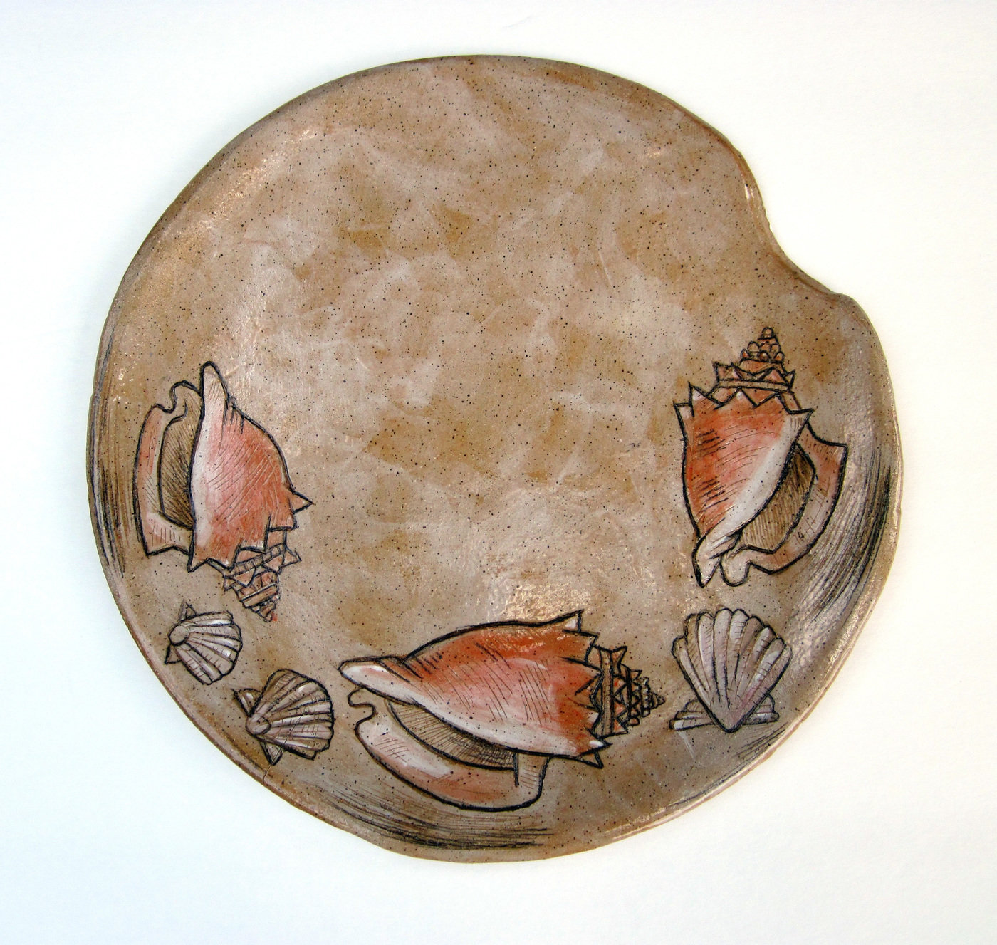 Shell and turtle plates by Melissa Stang at Coroflot.com