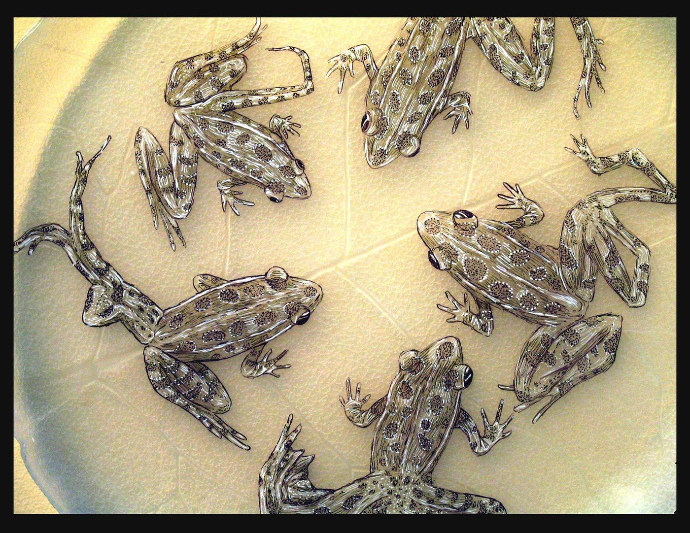 Deformed frog plates and treefrog bowls by Melissa Stang at Coroflot.com