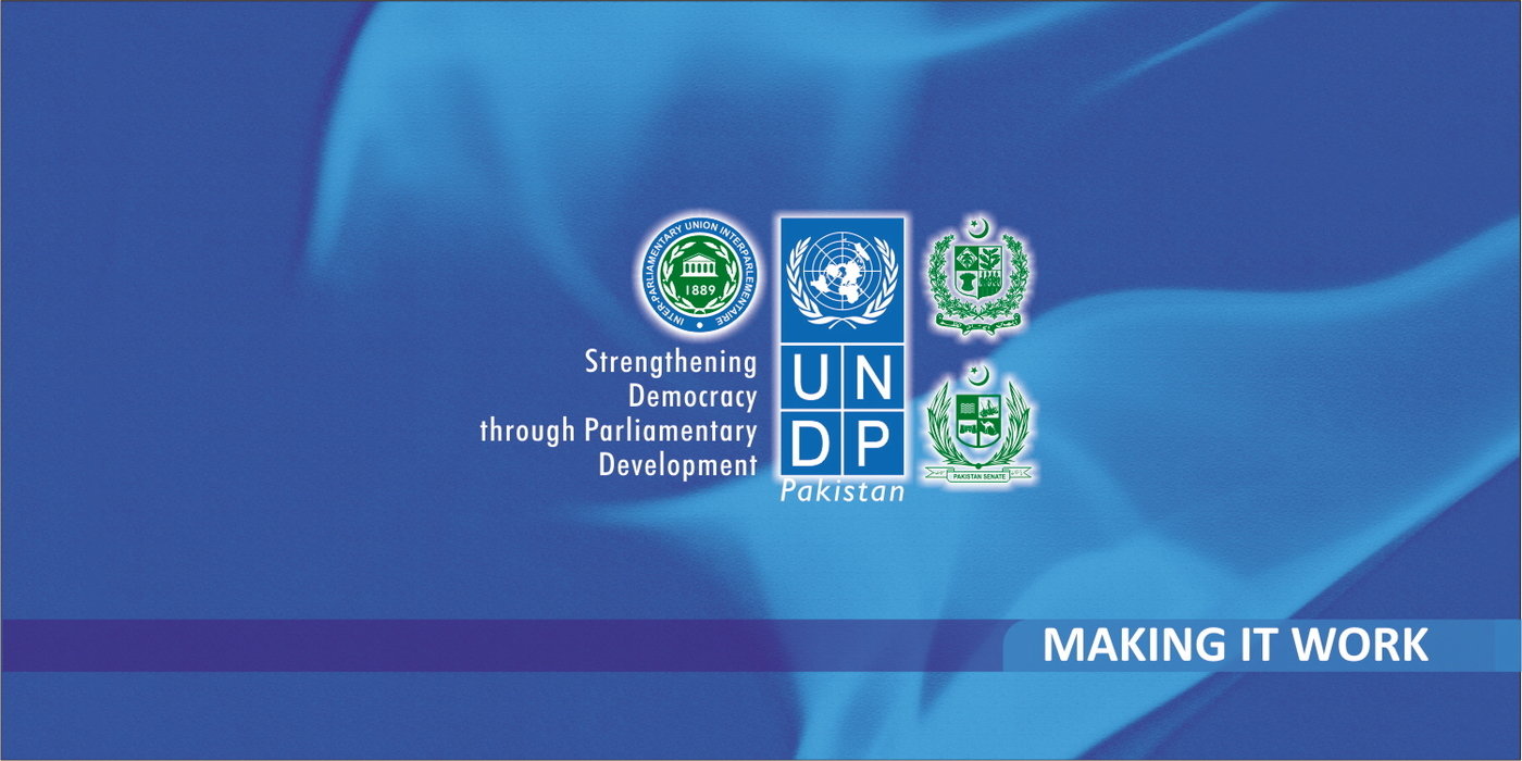 BACKDROP FOR UNDP PROJECT by sohail yaqoob janjua janjua at Coroflot.com