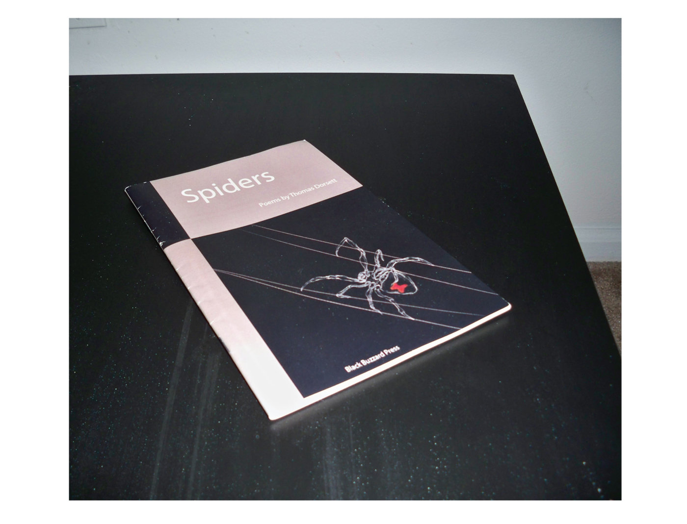 Spiders Book Cover by Phil Dorsett at Coroflot.com