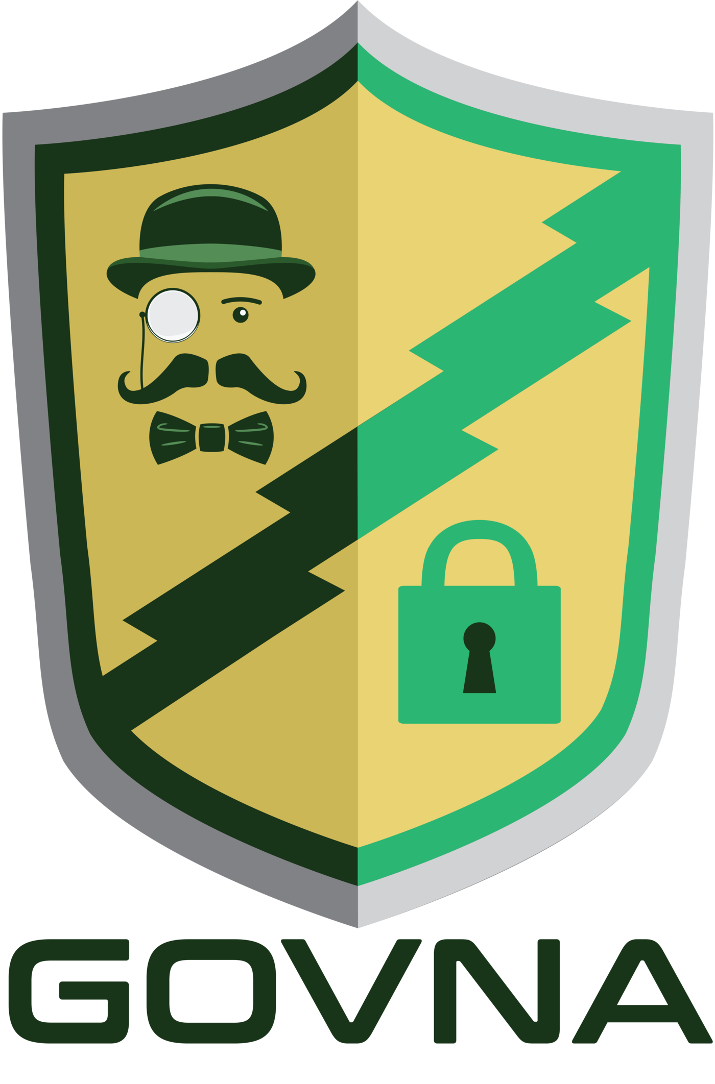 GOVNA Logo Design by Steven Elmore at Coroflot.com