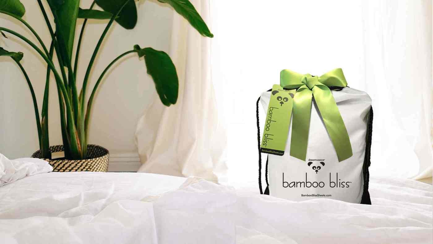 Bamboo Bliss Brand Design by Tina Campana at Coroflot.com