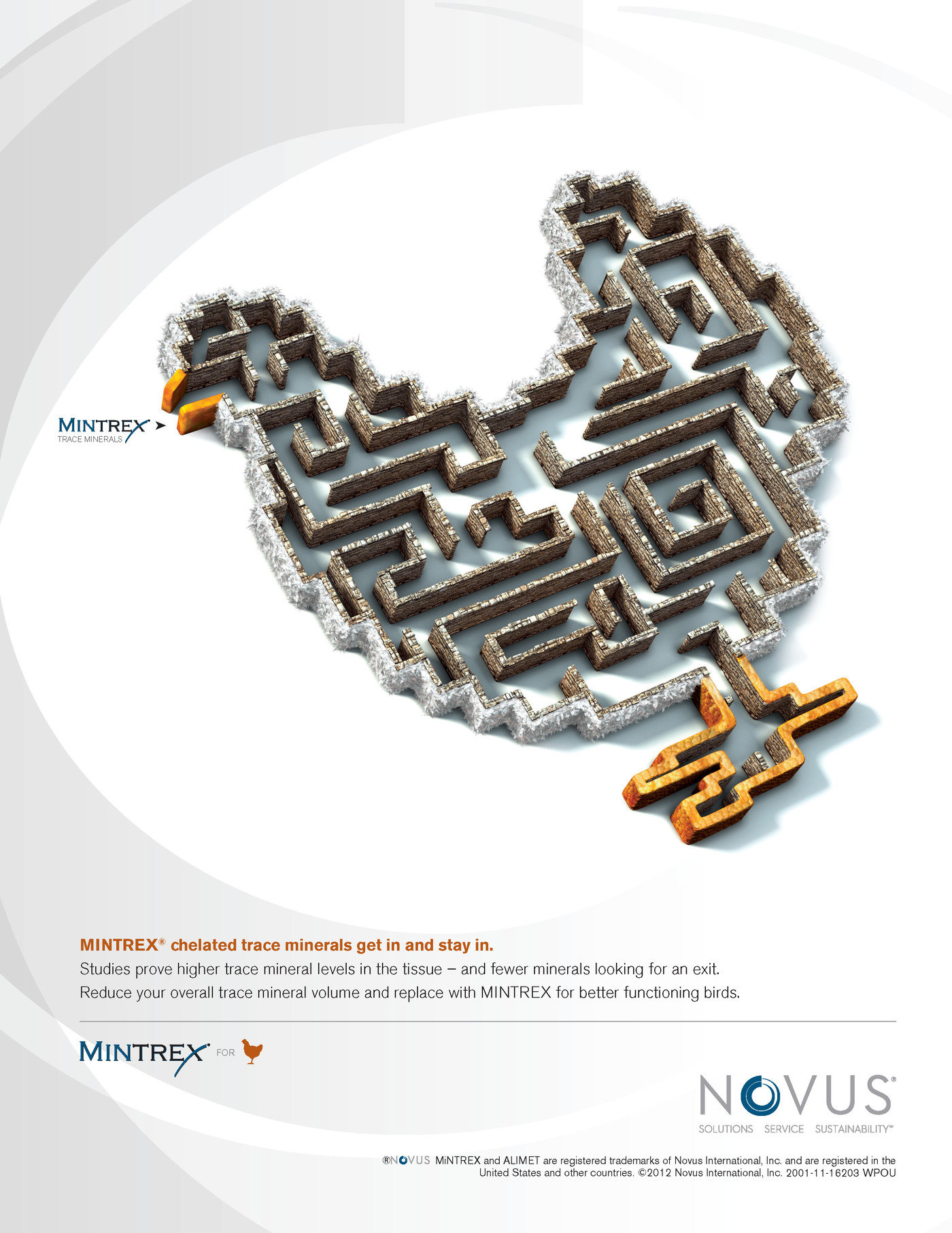 Novus Work by Shaun Crockett at Coroflot.com