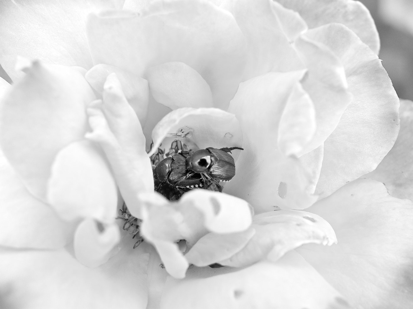 Nature by Lis Thompson at Coroflot.com