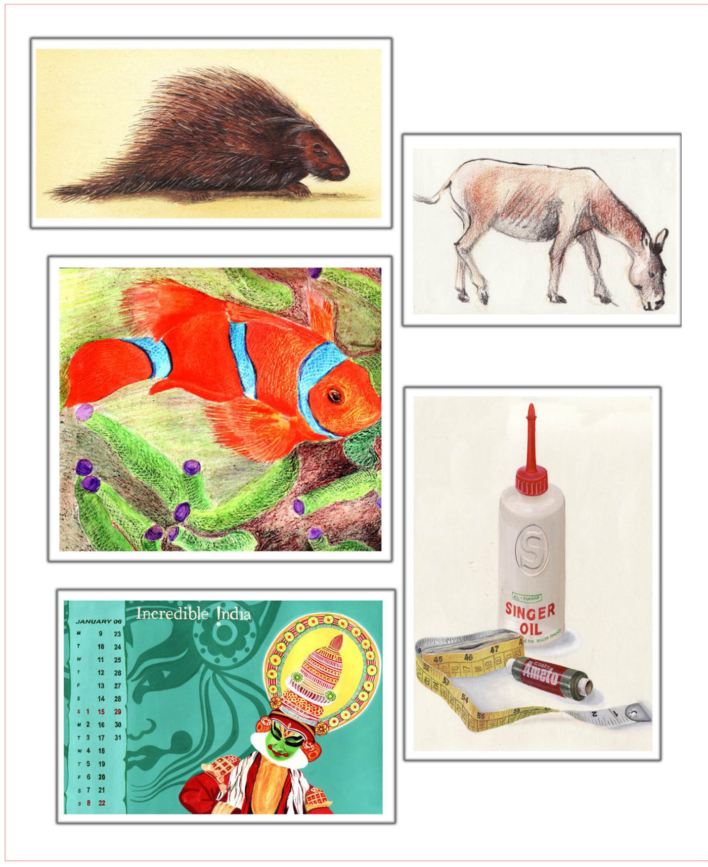 Illustrations by Smita Naik at Coroflot.com