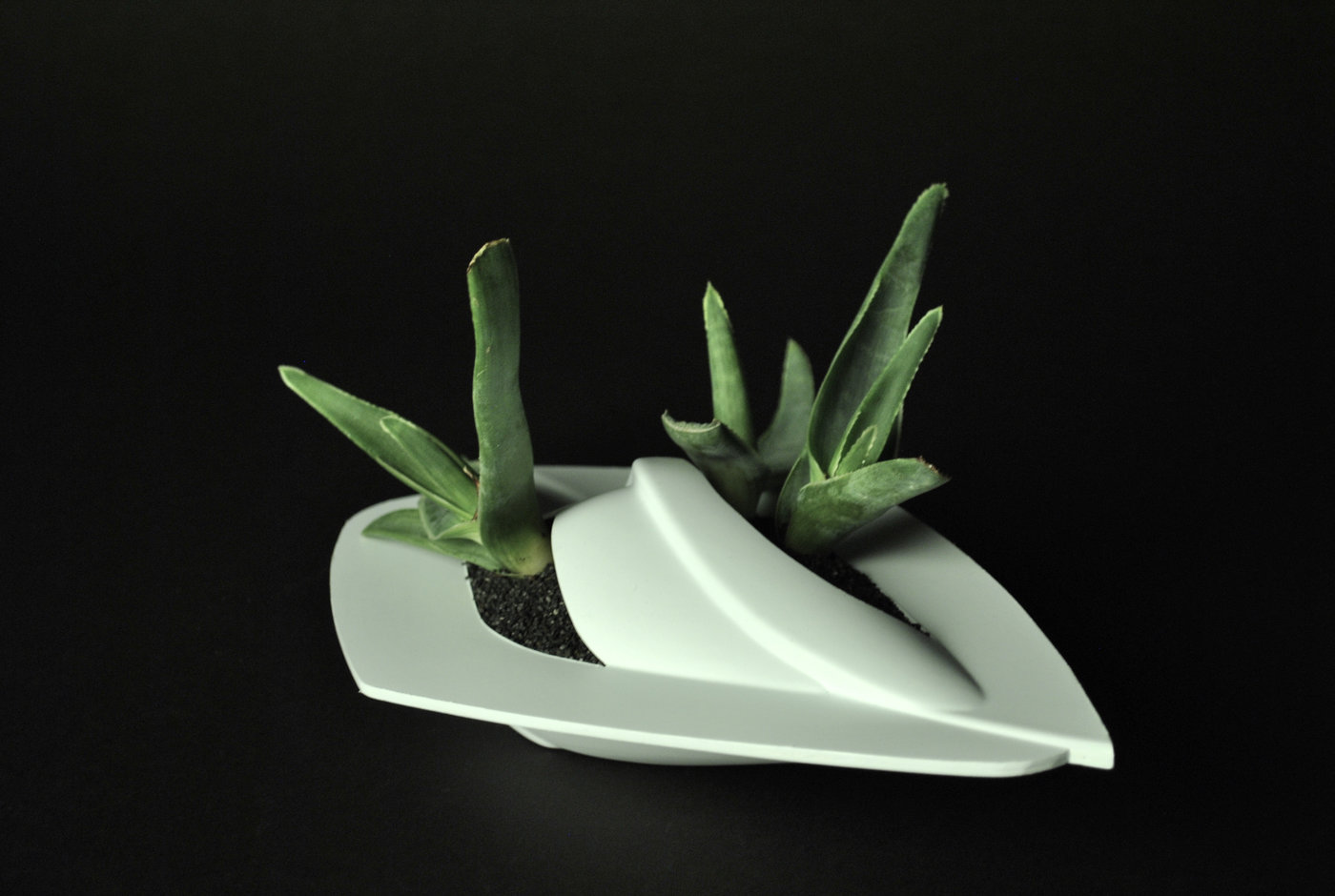 Plant Vessel by Laura West at Coroflot.com