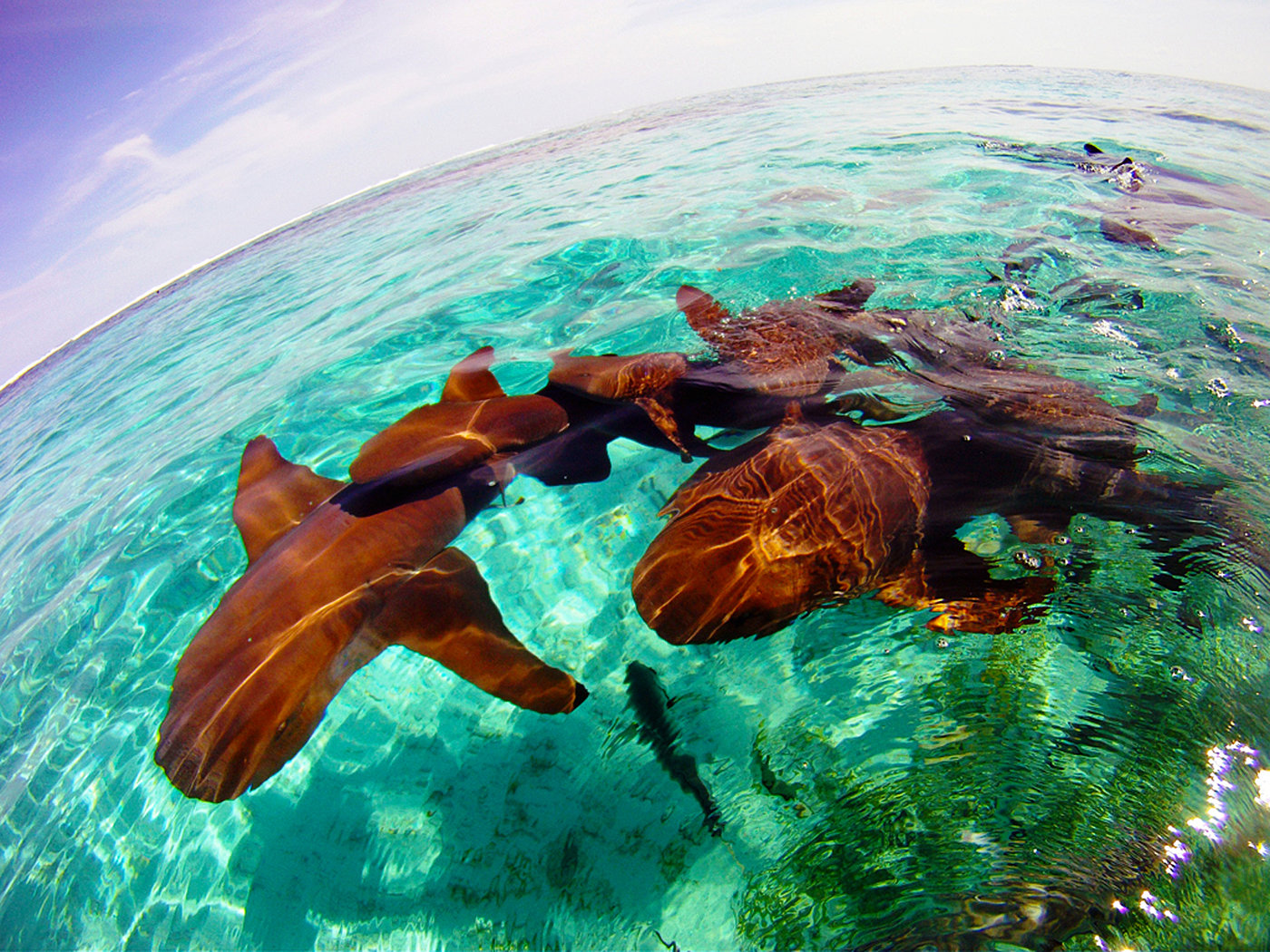 ocean photography by anne beamon at Coroflot.com