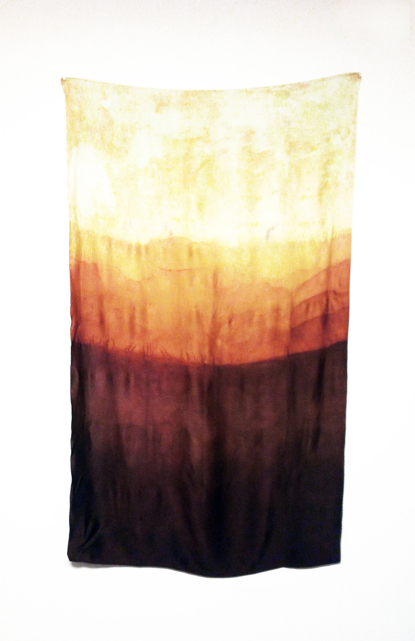 Hand Dyed Fabric by Taylor Belanger at Coroflot.com
