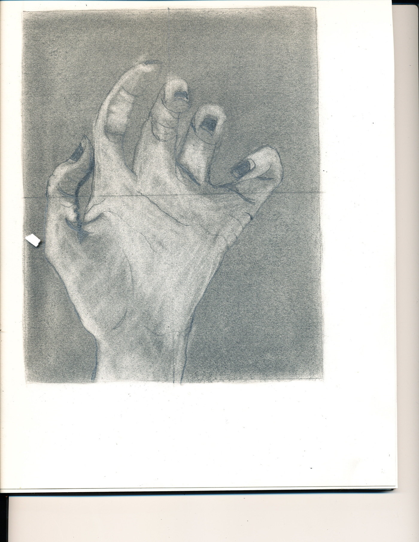 Drawings by Rose Phelps at Coroflot.com