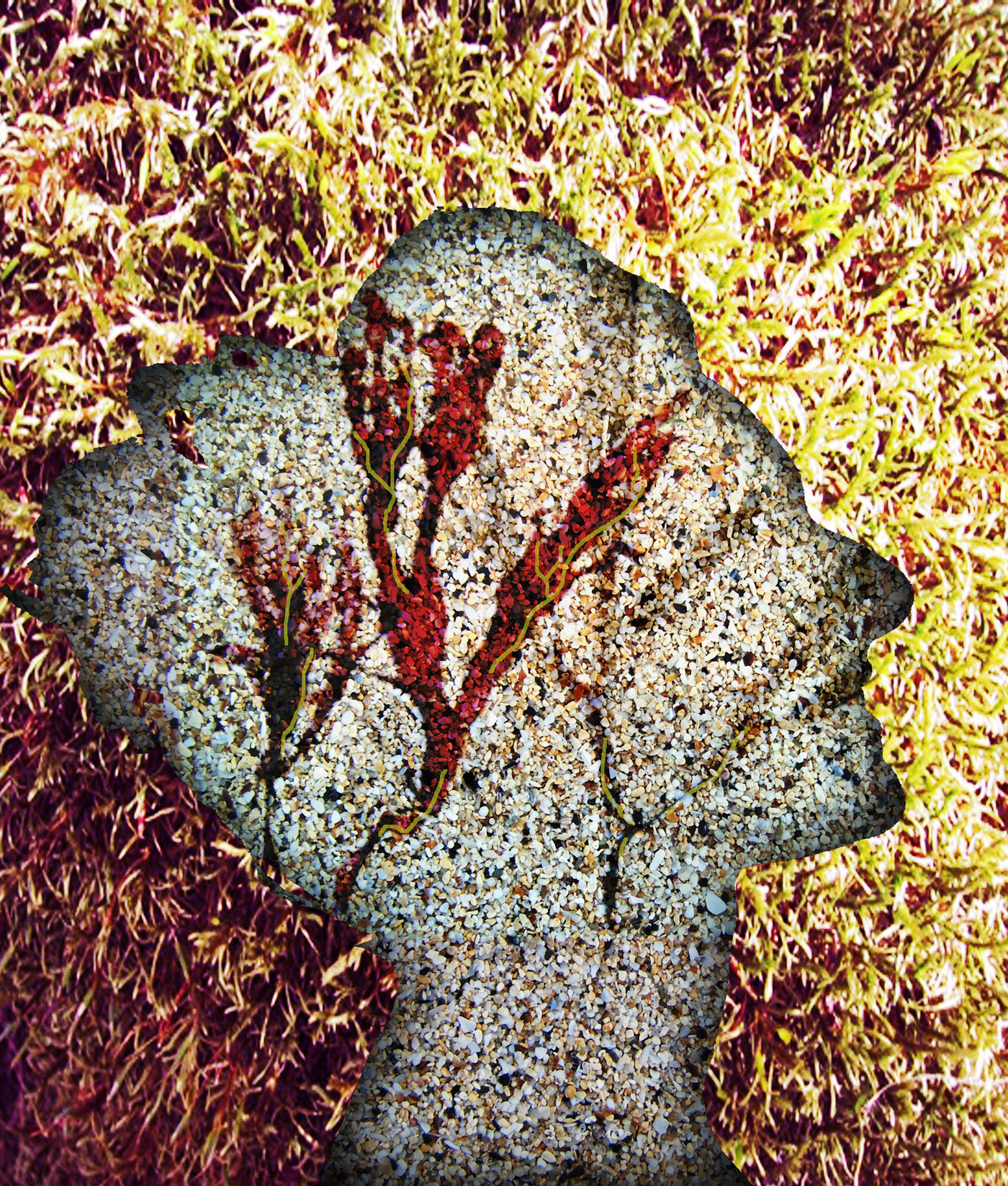 Multi Layered Digital Photo Combinations by Devon Fuller at Coroflot.com