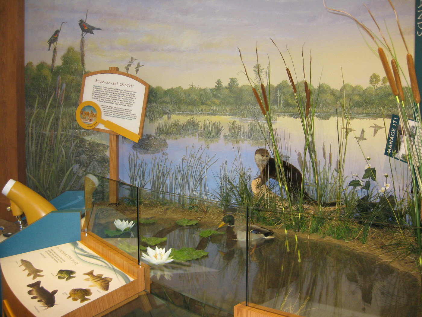 Nature & Wildlife Visitor Centers by Lauren Gisel at Coroflot.com